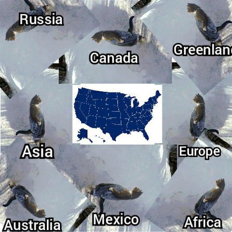 Da hell they doin' over there? - 9GAG