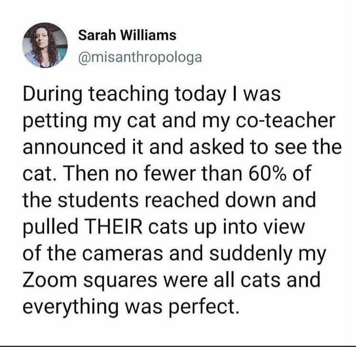 Its Cat Time 9GAG Its Cat Time 9GAG