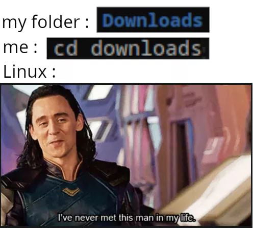 Linux be like - 9GAG