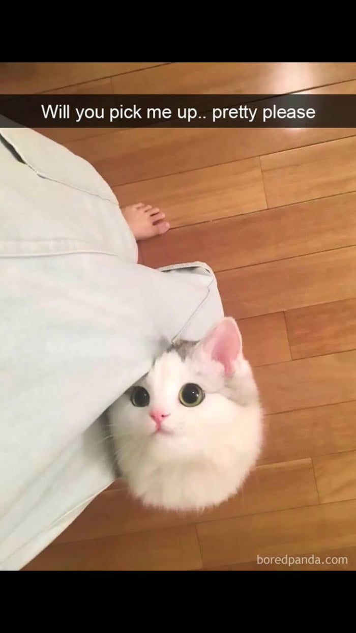 This is too cute - 9GAG