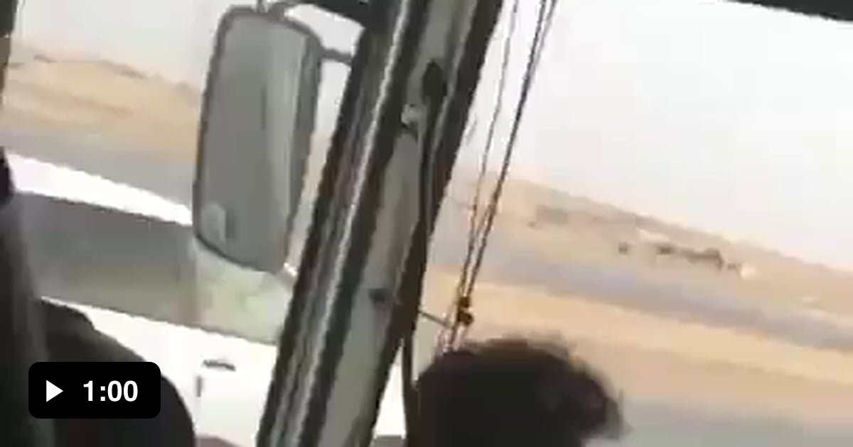 This bus driver seems strange - 9GAG