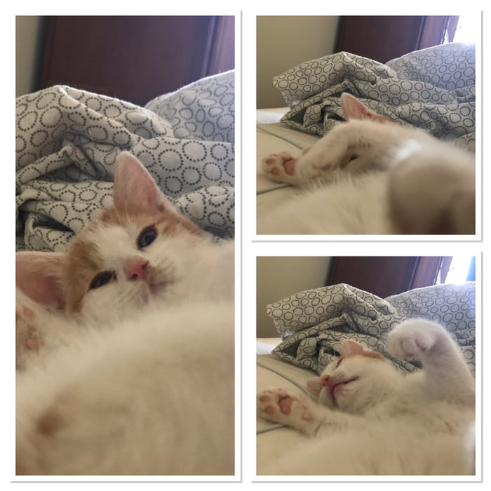 What Do You Want Susan 9gag