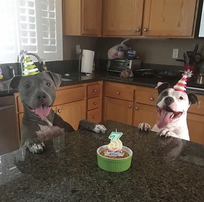 Birthday Party - 9GAG