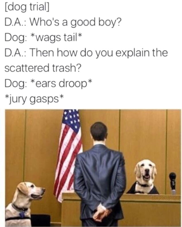 Having a ruff day - 9GAG