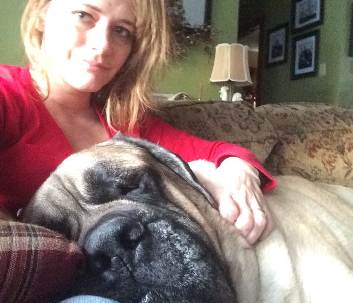 175 pound lap dog. - 9GAG