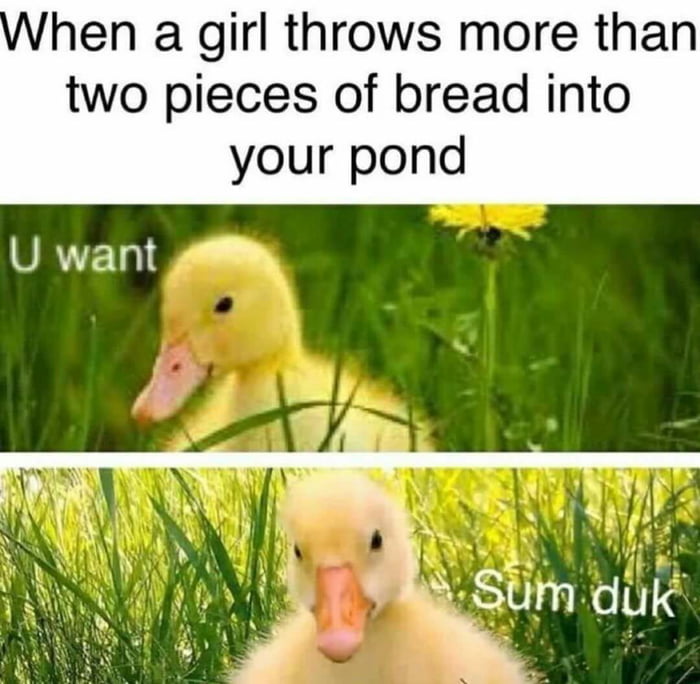 U want some duck? - 9GAG