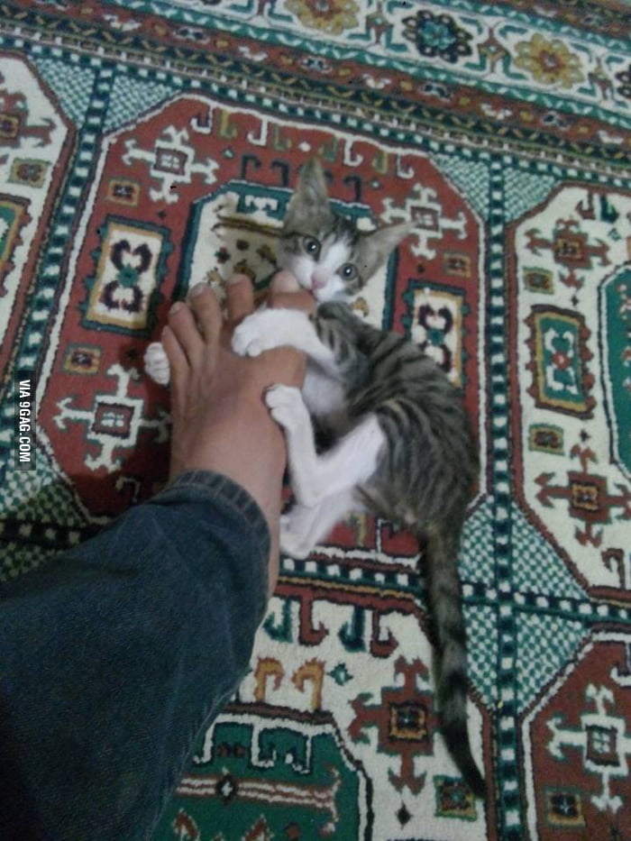 Eating my toe... - 9GAG