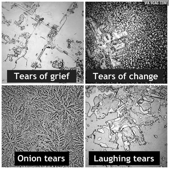 Tears isn't just tears! - 9GAG