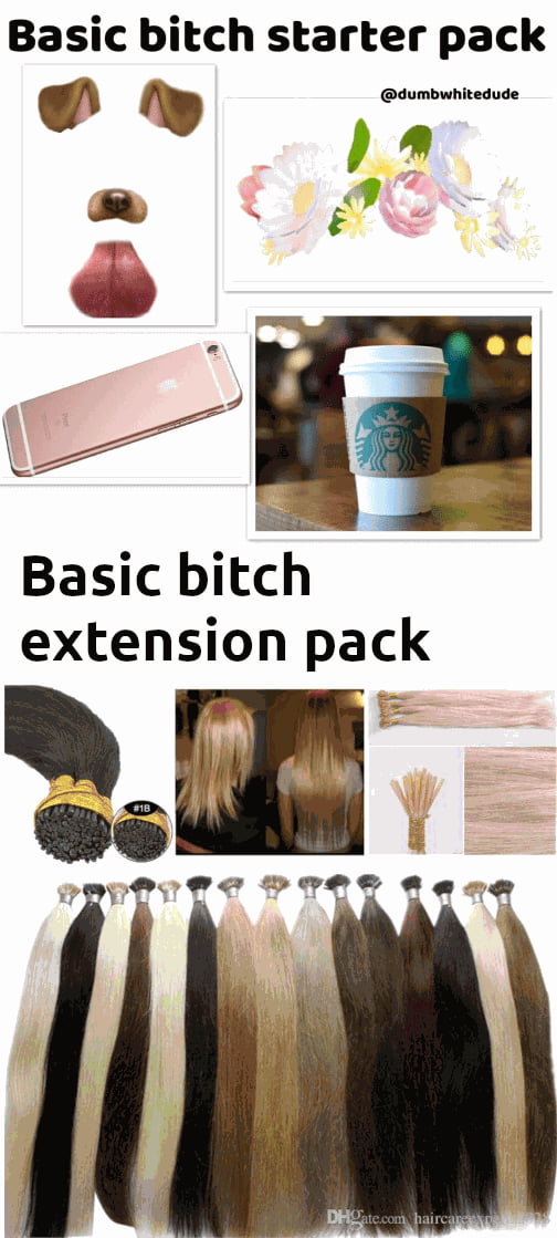 And then they come out with B*tch 2.0 which is incompatible with basic b*tch and all the ...