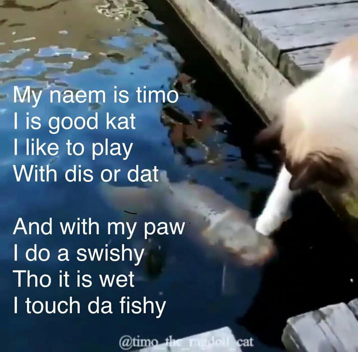 Touch da fishy - 9GAG