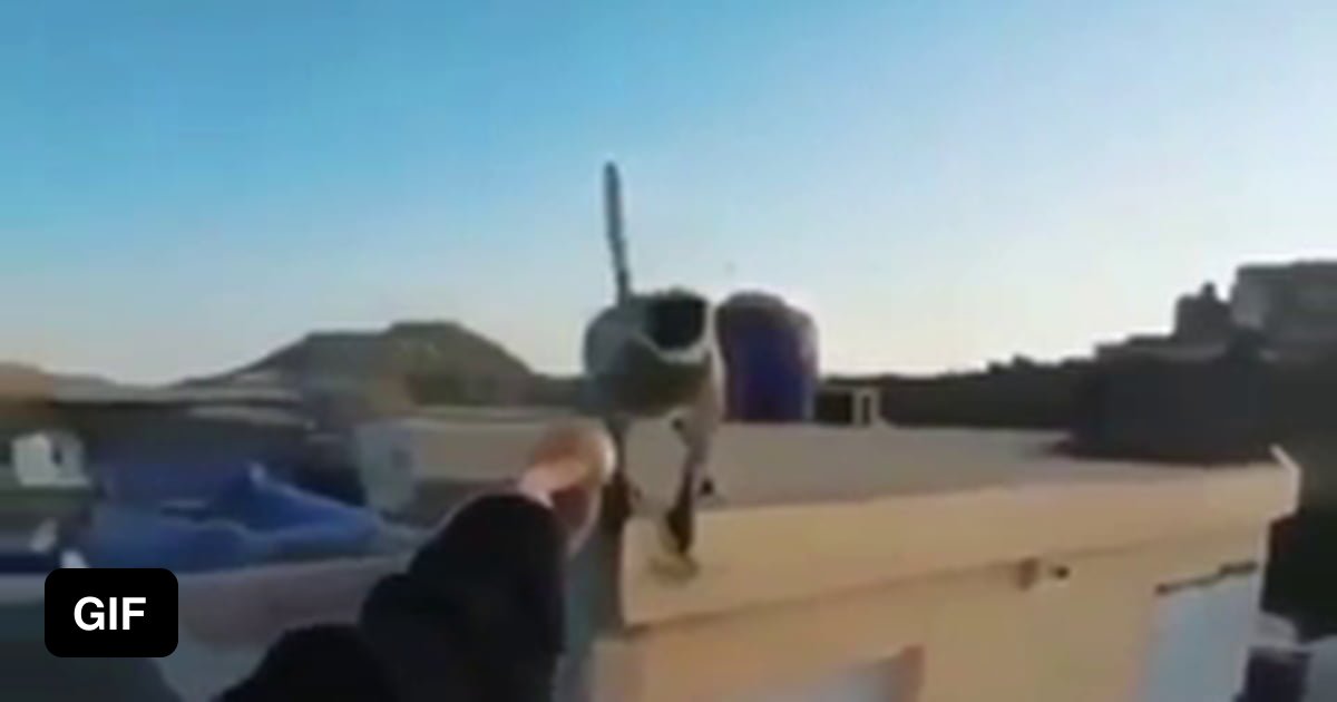 Five second rule - 9GAG