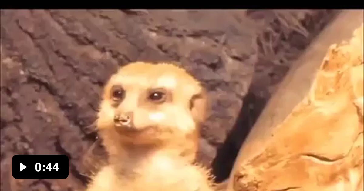 And English, and science and history and... - 9GAG