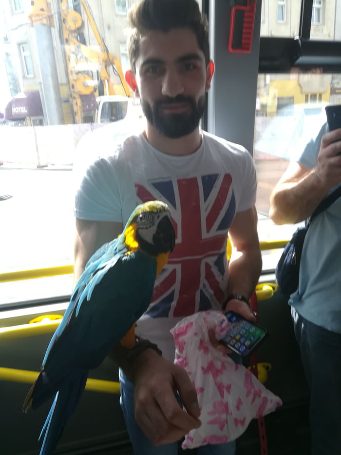 Just a normal day in Austria - 9GAG