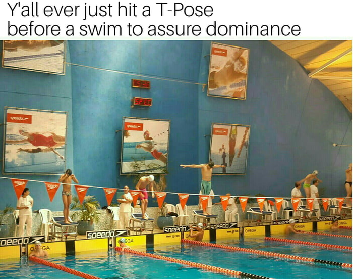 I know T-pose isn't cool since Jesus was crucified, but 9gagers love ...