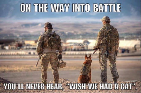 We could let it search the minefield maybe? *thinking - 9GAG