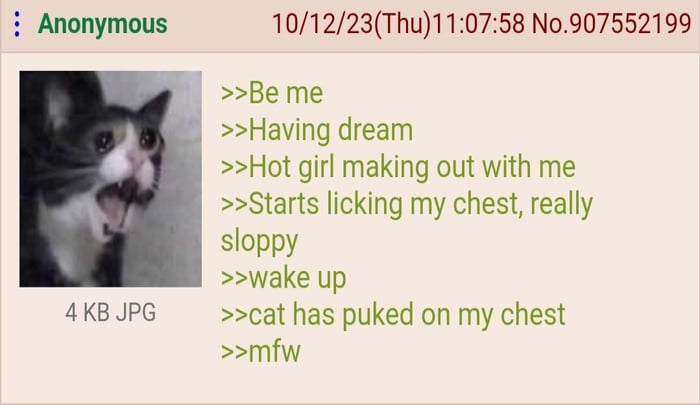 Anon's wet dream - 9GAG