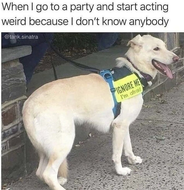 Fuk me, why did I agree on human social interaction? - 9GAG