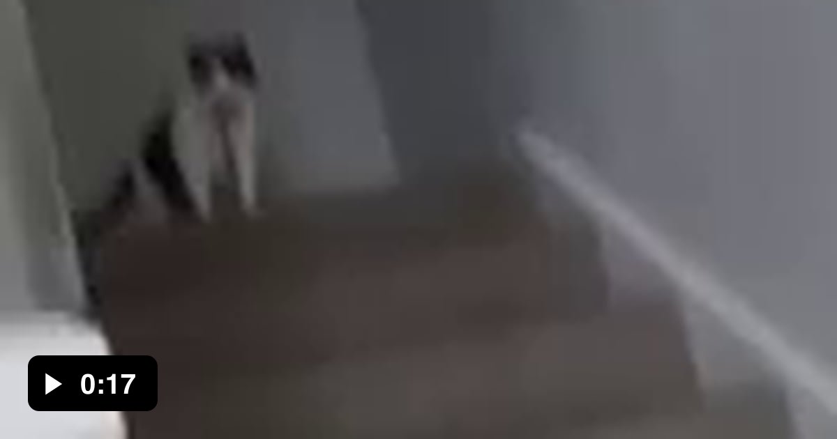 Every single day without fail. - 9GAG