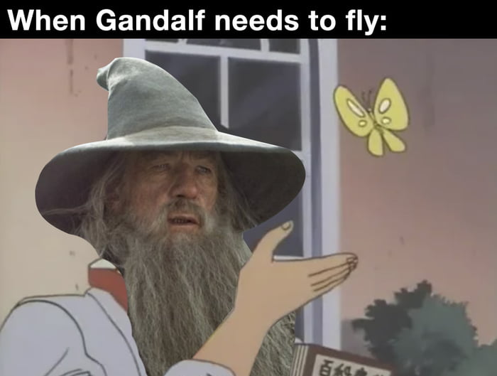 Fly you fools - 9GAG