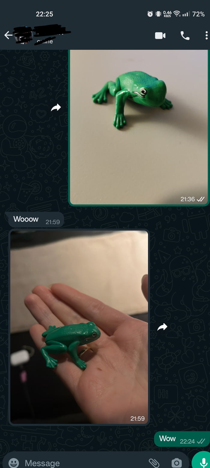 So I guess it's Wednesday my dudes. Me and my wife opened a ü-ei and we both got the frog - 9GAG