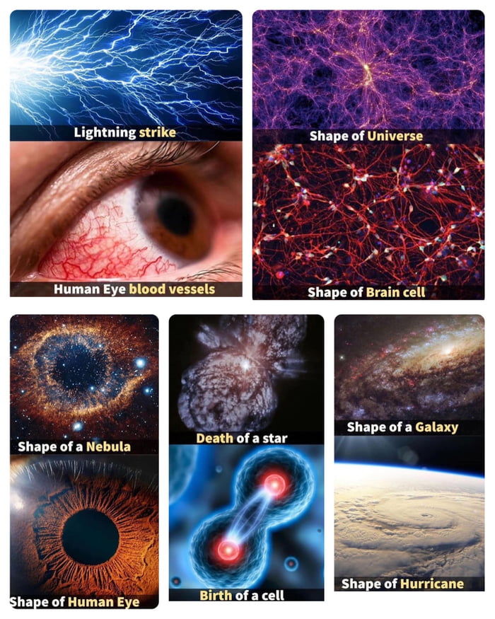 Everything is interconnected - 9GAG