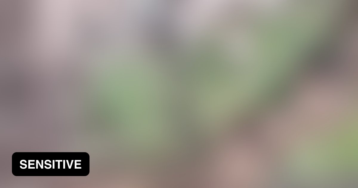 Briefings over Ivan, go home. - 9GAG