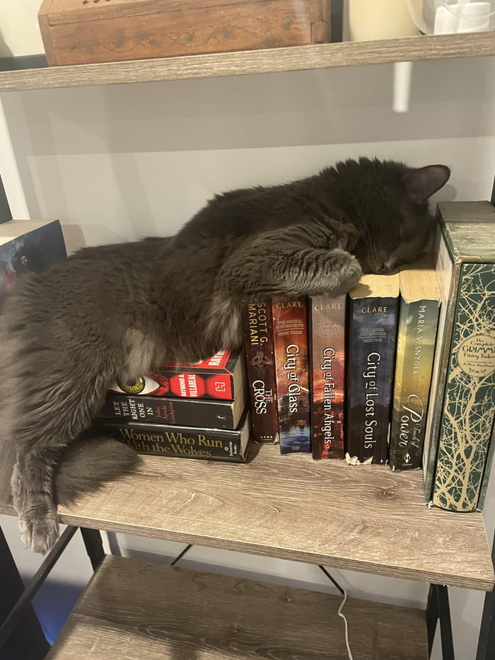 She cannot have been as comfortable she it looks. - 9GAG