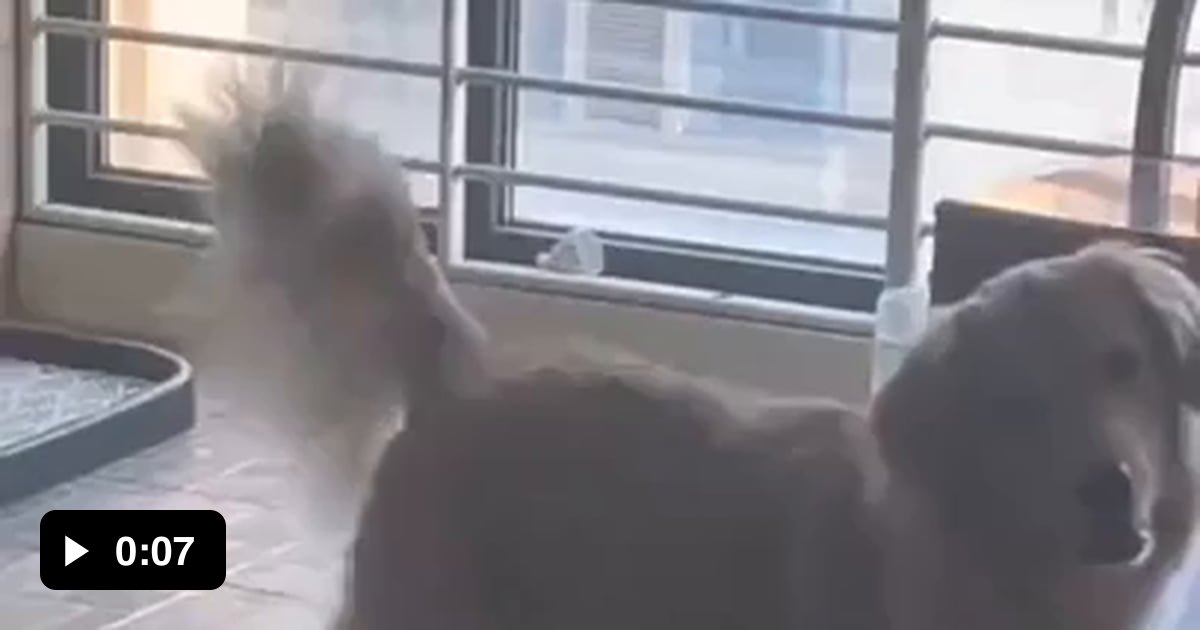 Switching from 4x4 to 2x4 on the fly - 9GAG