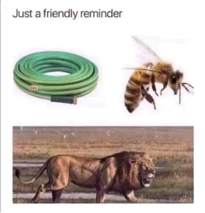 Be safe kings - 9GAG