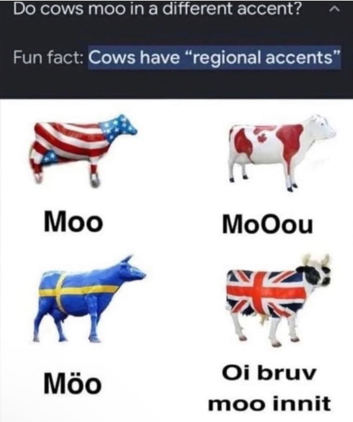 Indian cow : mooodar bloody - 9GAG