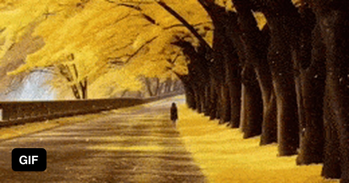 Ahhh, finally cooling off. Love Fall. Or Autumn. Or whatever you call it. - 9GAG