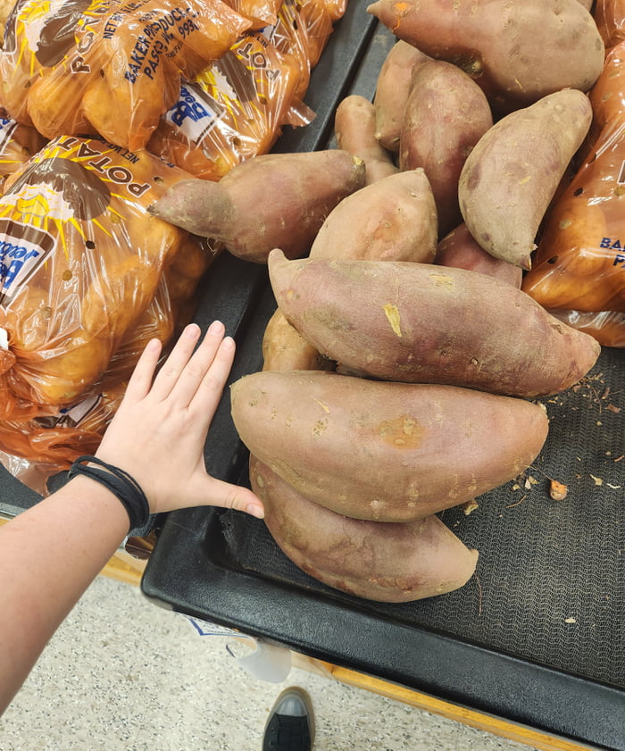 These massive sweet potatoes - 9GAG