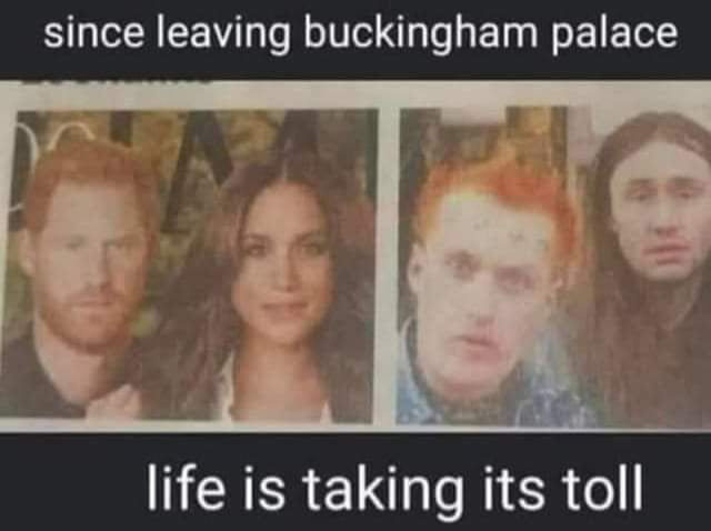 They choose it, so they can suck on it - 9GAG