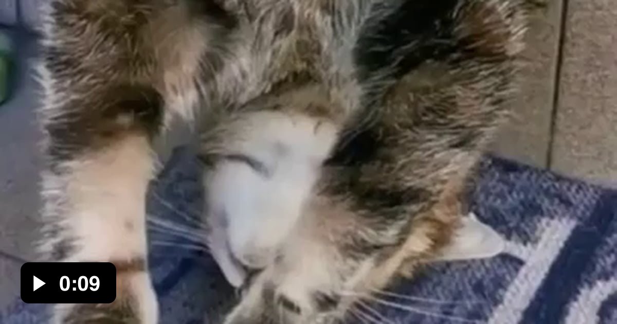 Very questionable sleep position - 9GAG