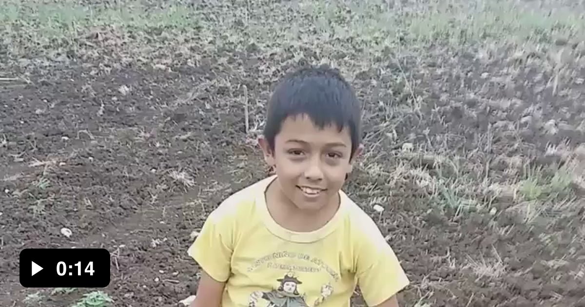 Mother: my son works so hard The son working hard - 9GAG