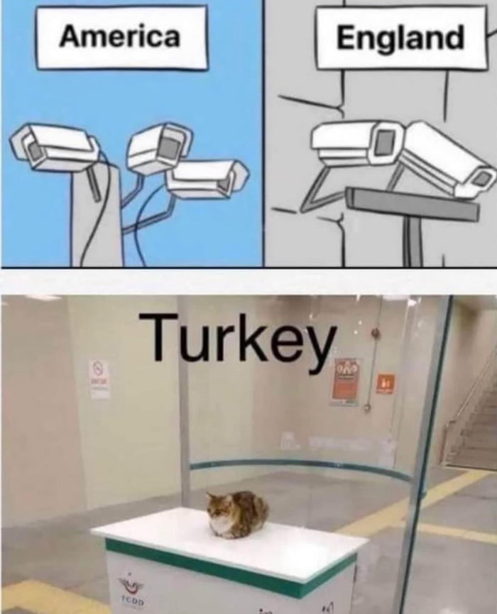 Very cute security - 9GAG