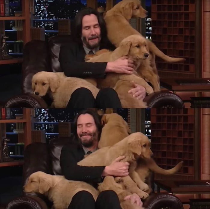 Here's Keanu Reeves with a bunch of puppies - 9GAG