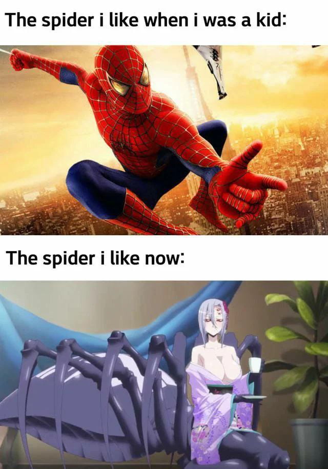 Spider - 9GAG
