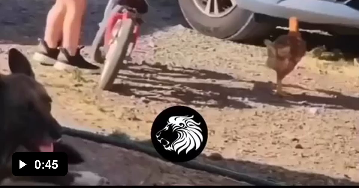 Take a ride, comrade - 9GAG