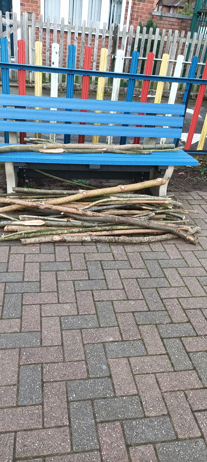 Are stick collections still a thing? I hit the mother lode at my ...