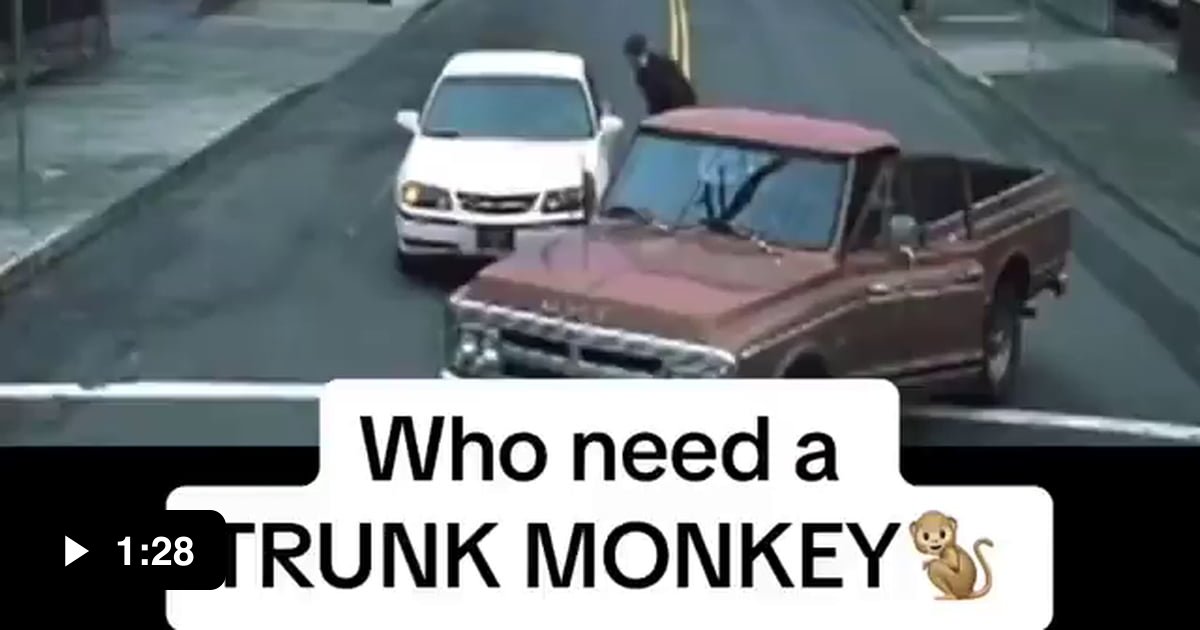 Who Needs A Trunk Monkey. - 9GAG