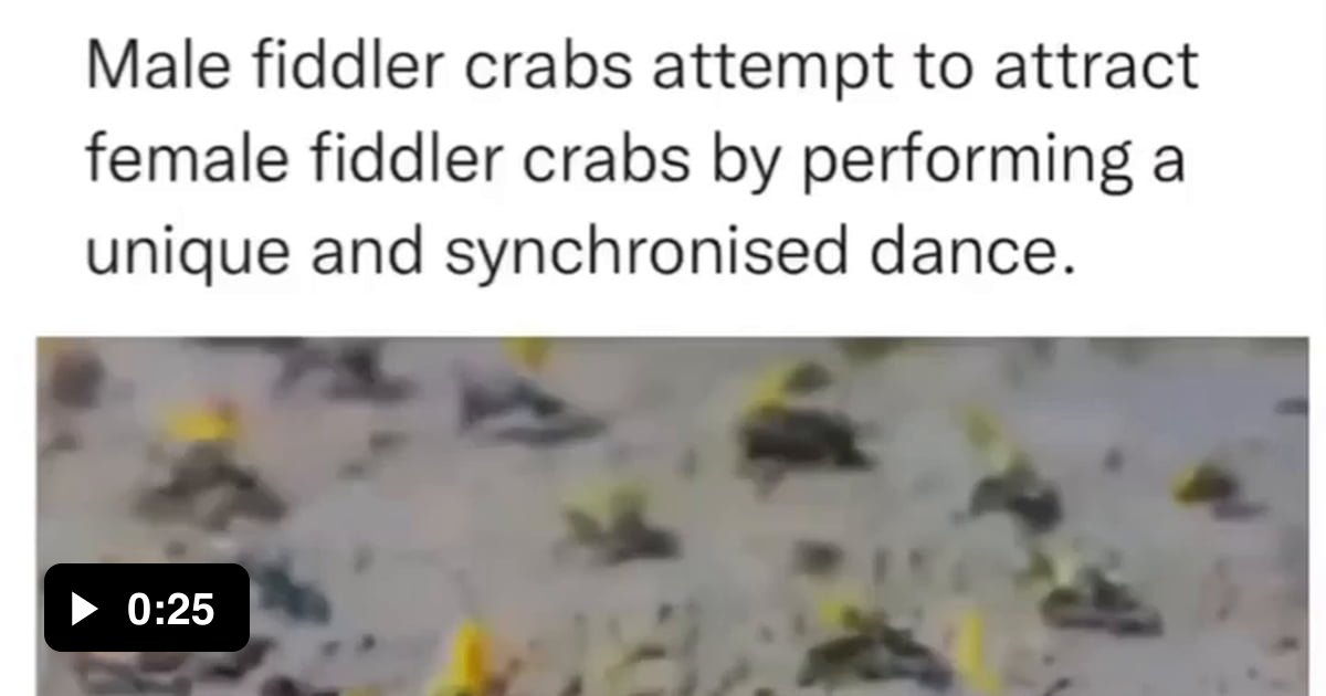 Crabs Synchronized Mating Dance - 9GAG