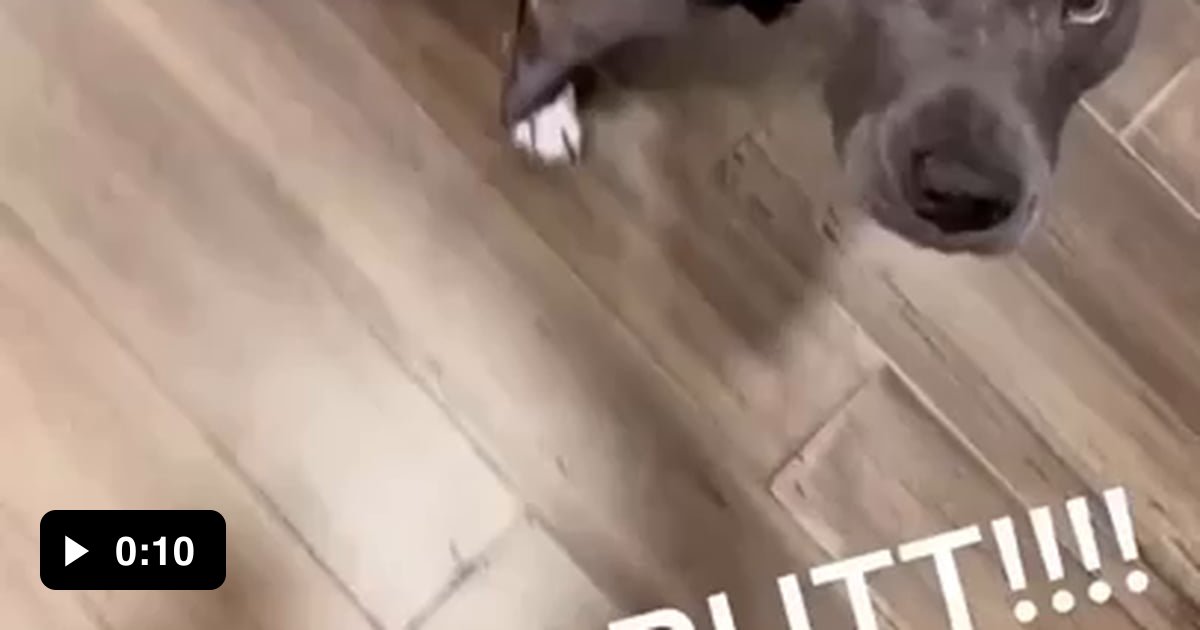 Just look at this Turbo Butt! 😁 - 9GAG