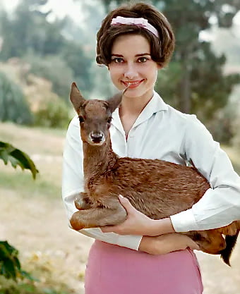 Audrey Hepburn, holding her pet deer Pippin on the set of the film "Green Mansions," 1959. - 9GAG