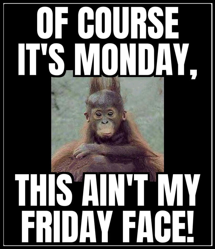 Monday humor - 9GAG