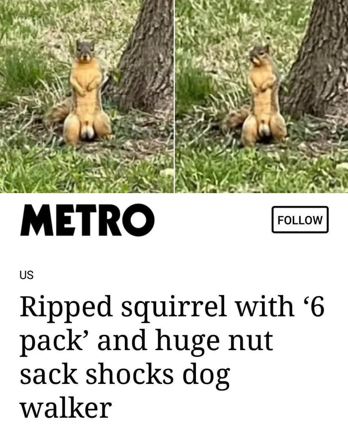 An absolute stud - 9GAG