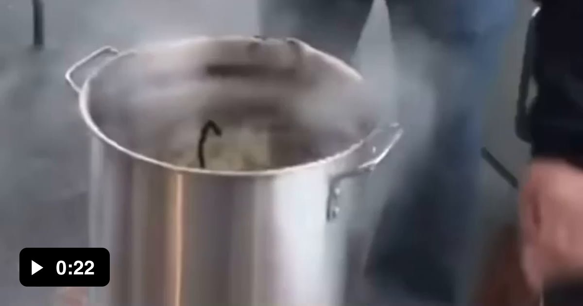 Best Chef ever! - 9GAG