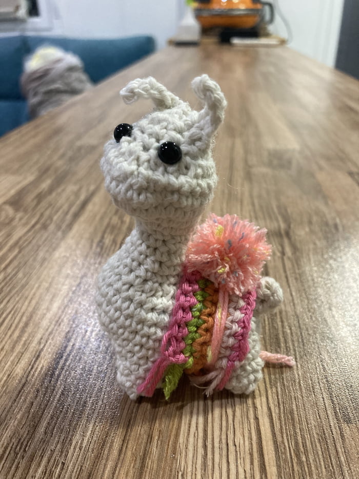 Paca la alpaca - 9GAG