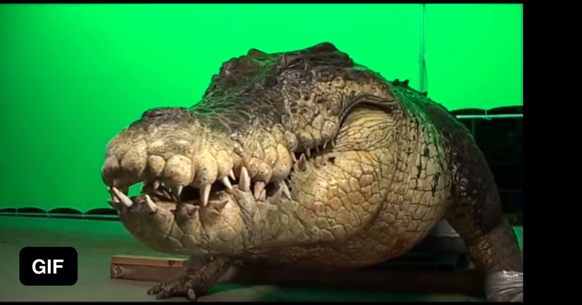 The animatronic crocodile from the movie Rogue (2007) - 9GAG