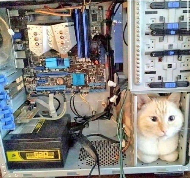 Graphics cat installed - 9GAG